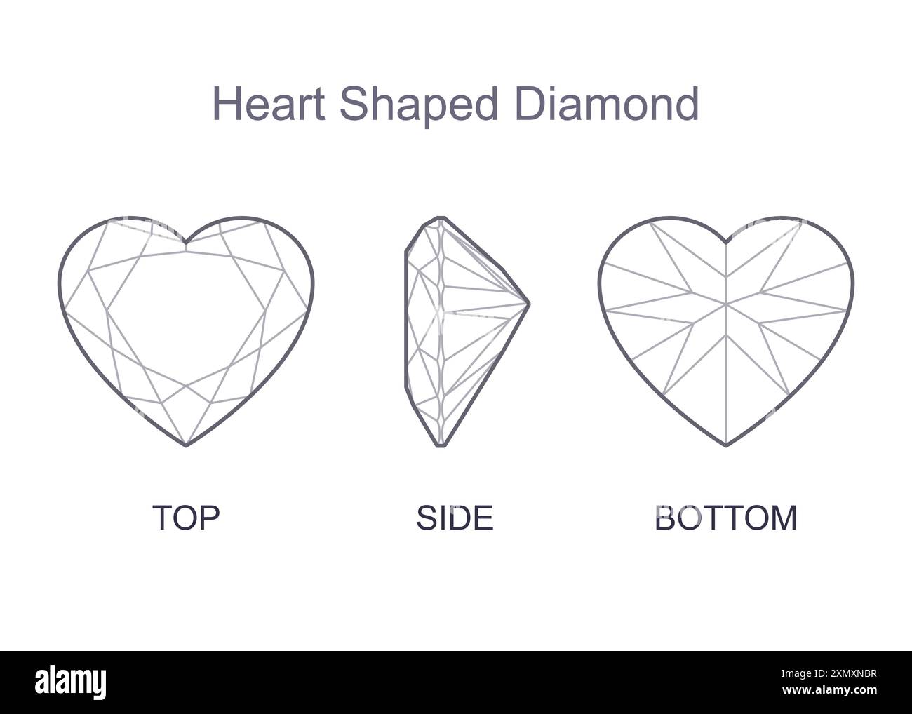 Girdle view Stock Vector Images - Alamy