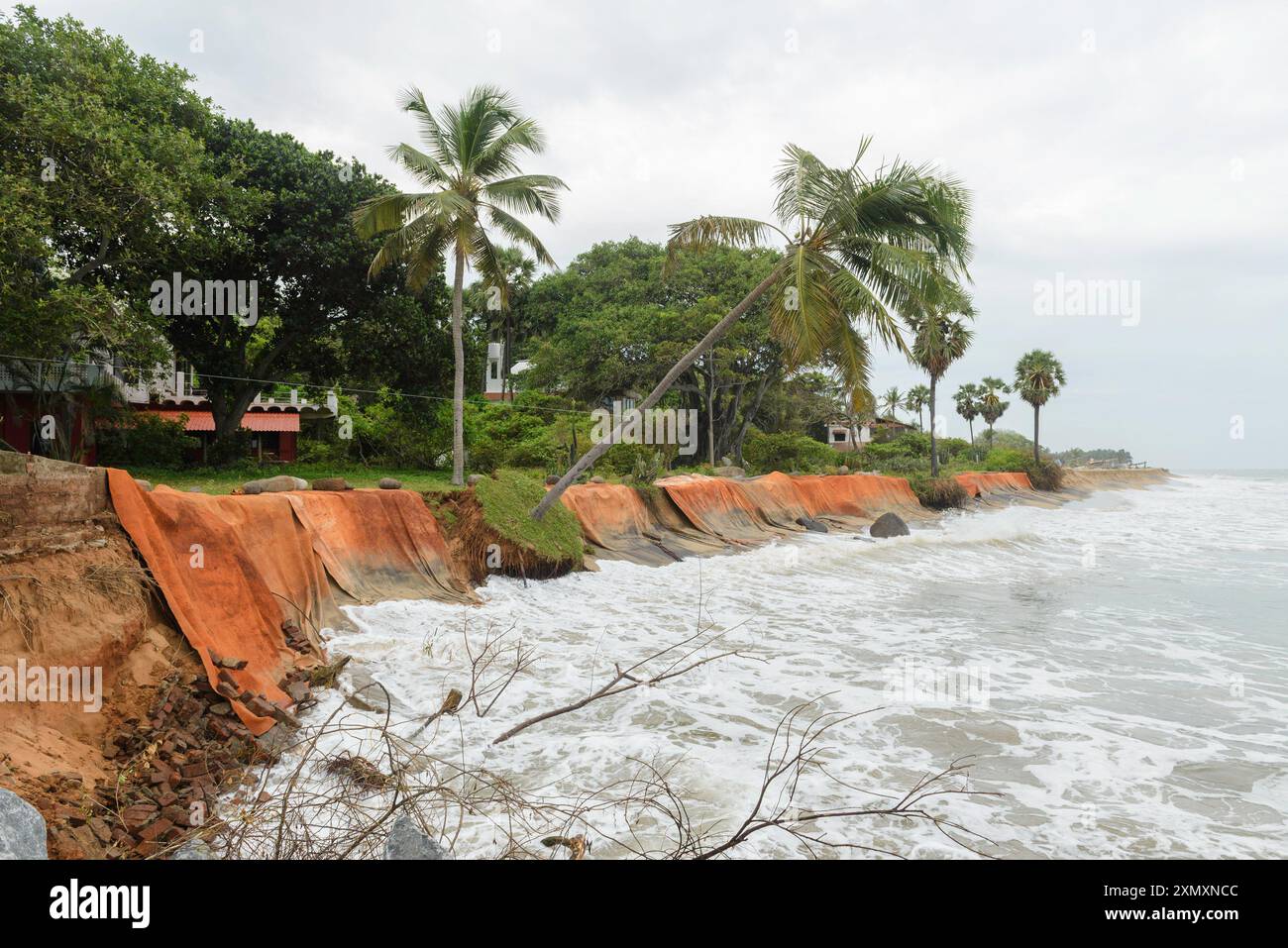 Auroville, India - July 2024 - Srima Beach and guest house are ...