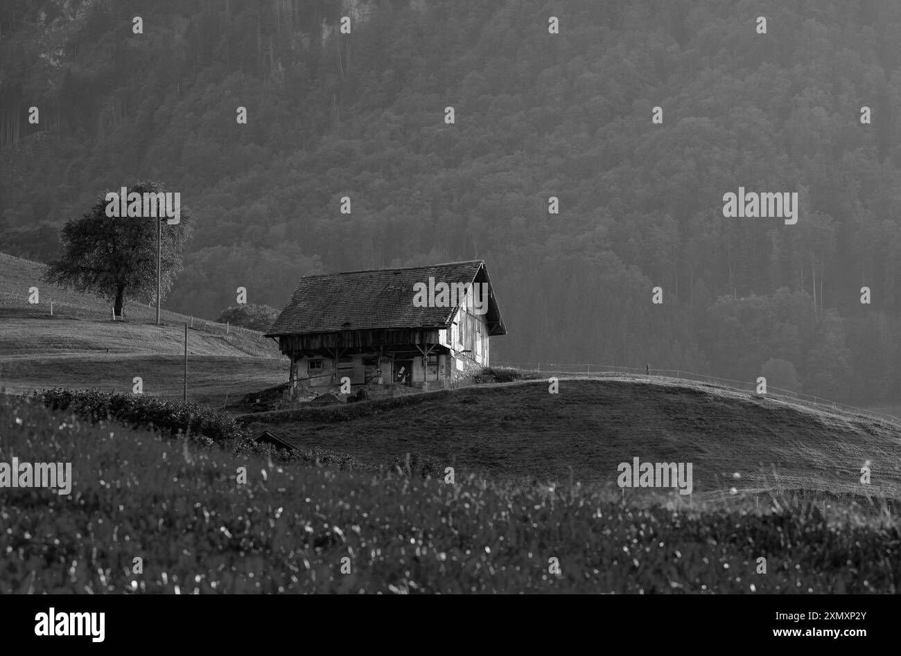 Old house, old building, historical architecture, traditional alps ...