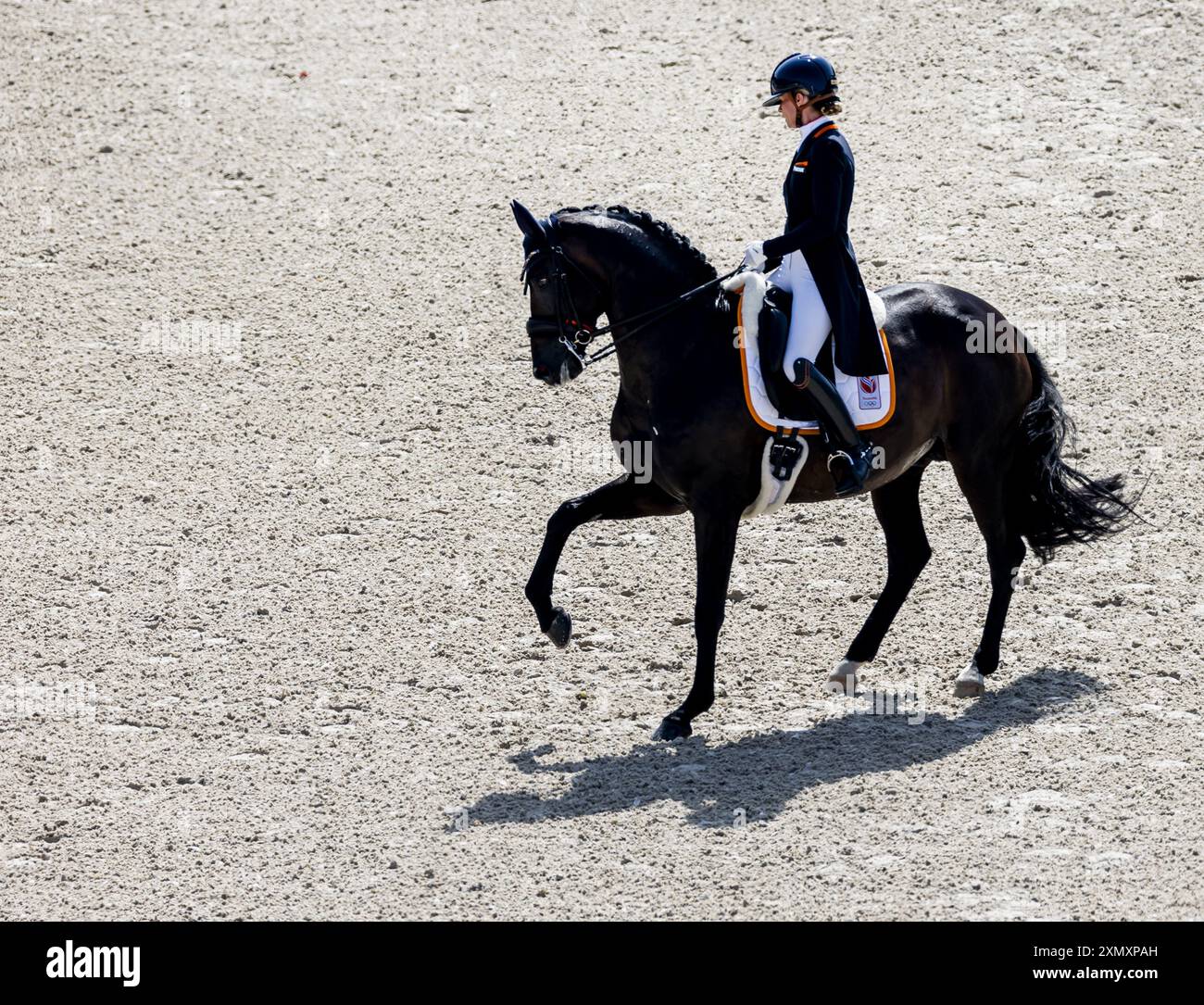 PARIS - Dinja van Lieren with horse Hermes in action during the ...