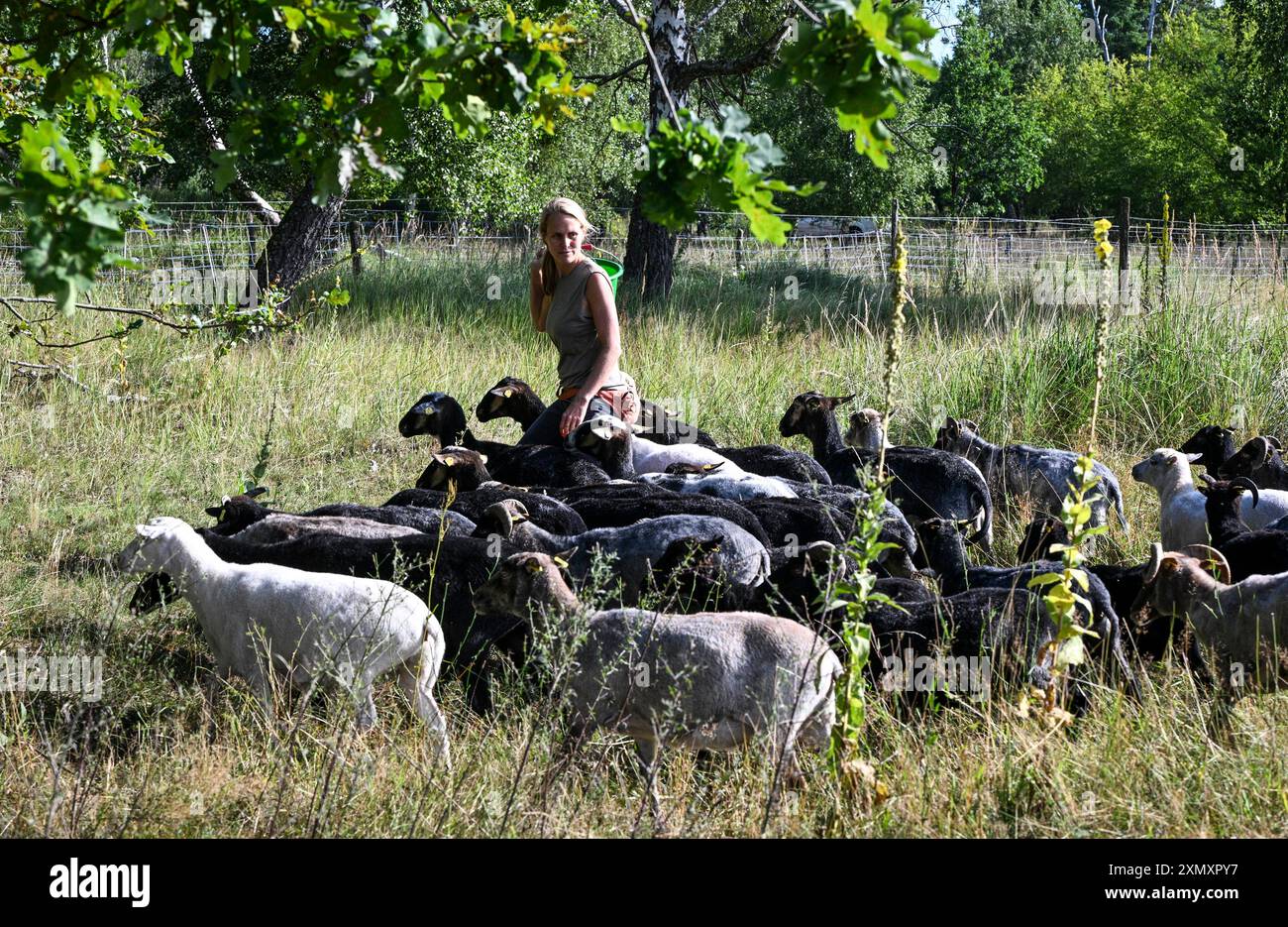 30 July 2024, Brandenburg, Wustermark: Lisa Querhammer, farm manager of ...