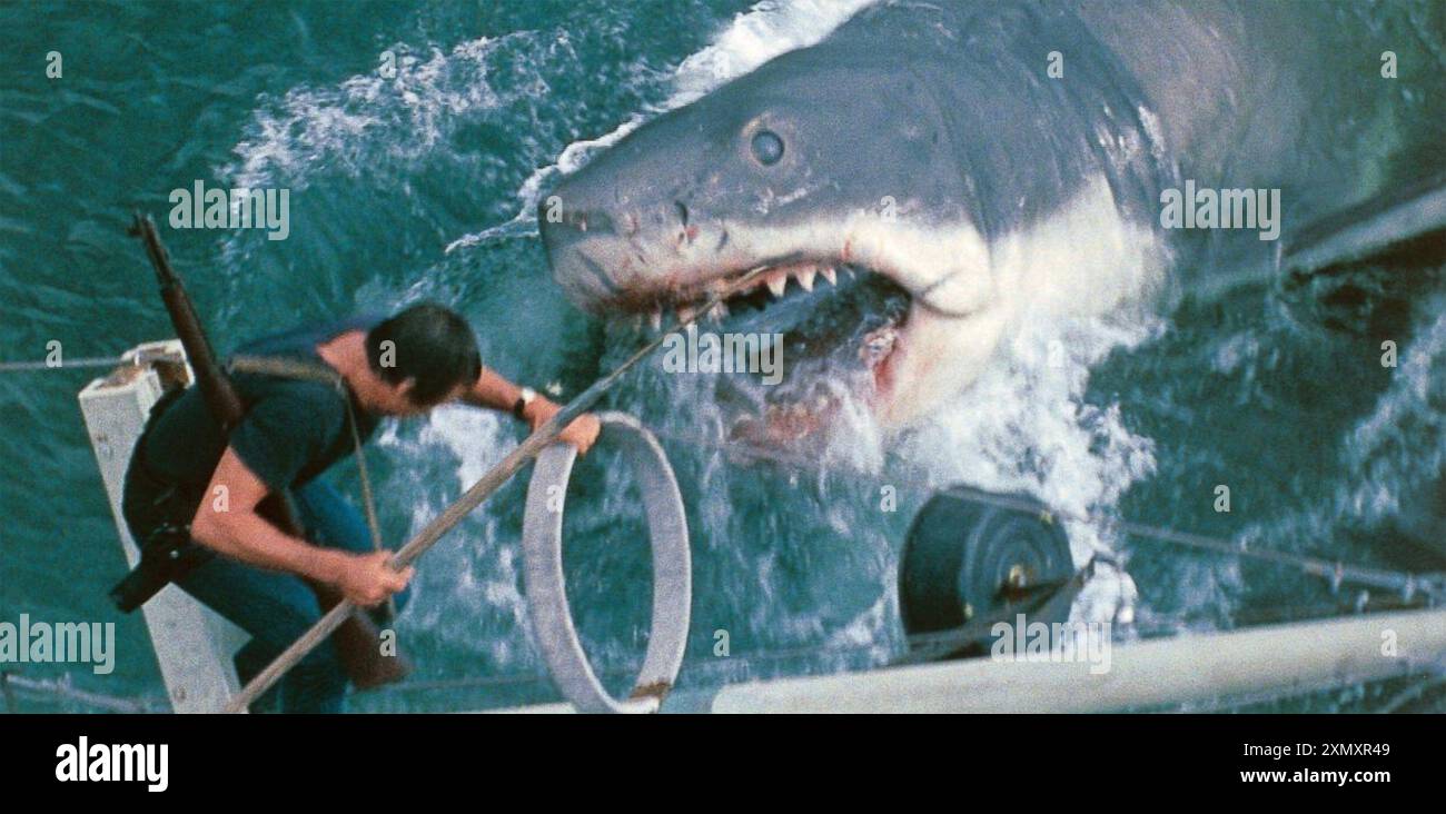 JAWS 1975 Universal Pictures film with Roy Schneider Stock Photo - Alamy JAWS 1975 Universal Pictures film with Roy Schneider Stock Photo - Alamy