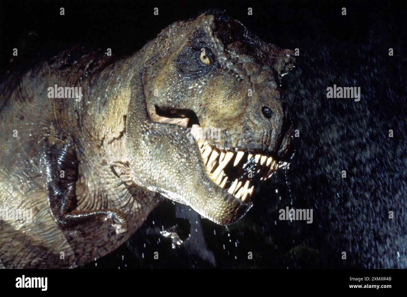 JURASSIC PARK 1993 Universal Pictures film with the Tyrannosaurus Rex Stock Photo - Alamy