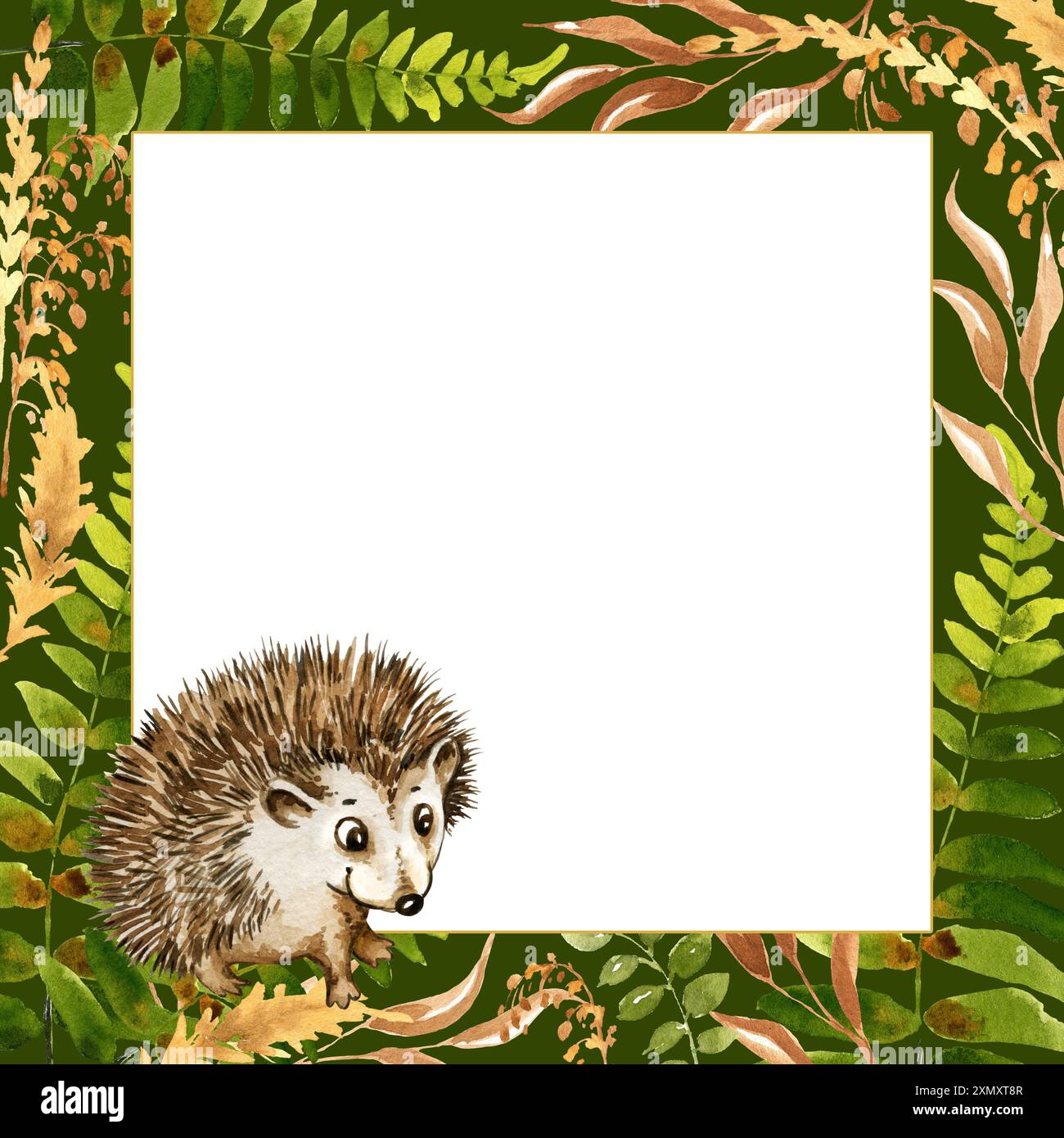 watercolor cute little animal hedgehog against frame with forest herbs ...