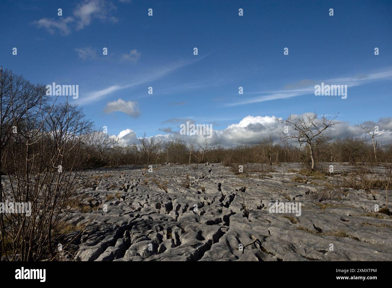 Limestone pavement on the summit plateau Hutton Roof Crags near Burton ...