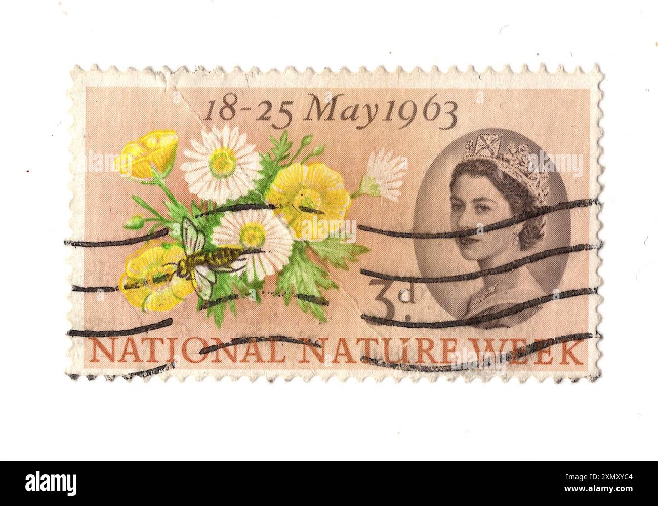 A vintage Queen Elizabeth II postage stamp featuring National Nature ...