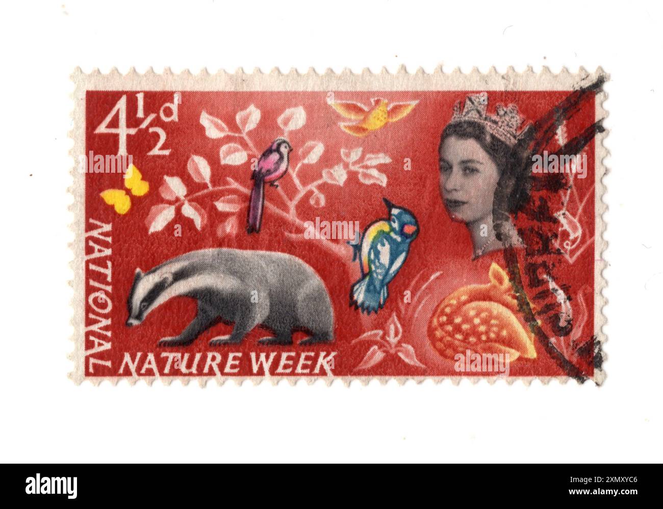 A vintage Queen Elizabeth II postage stamp featuring National Nature ...