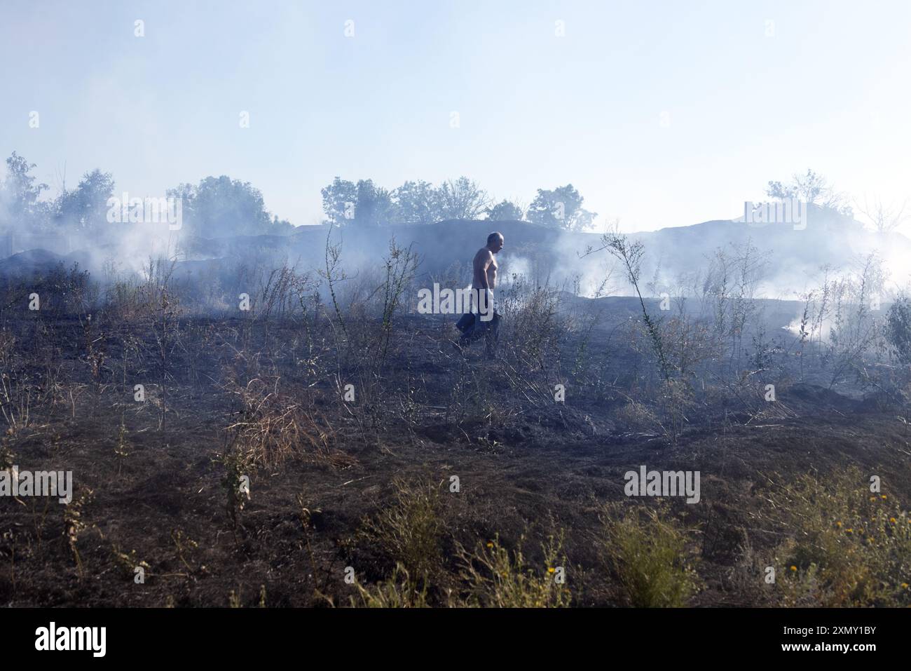 ODESSA, UKRAINE - July 24 2024: Forest and steppe fires completely ...