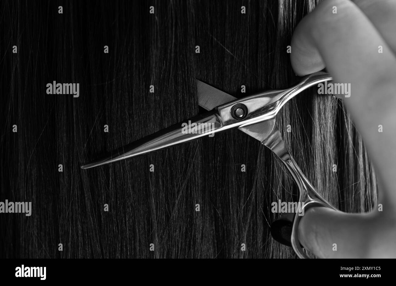 Scissors and brown hair close up. Womans hair texture background ...