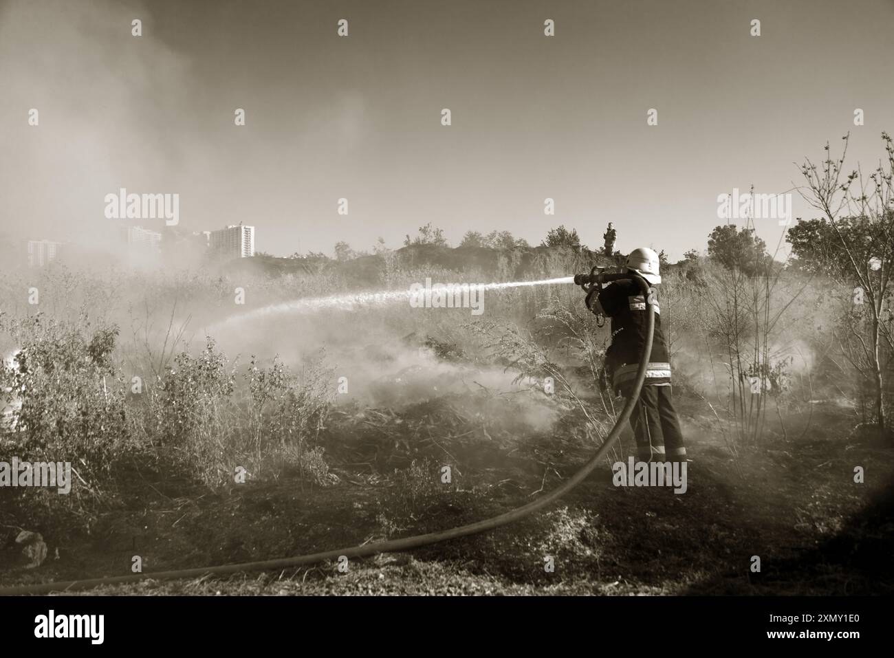 ODESSA, UKRAINE - July 24 2024: Forest, steppe fire completely destroy ...