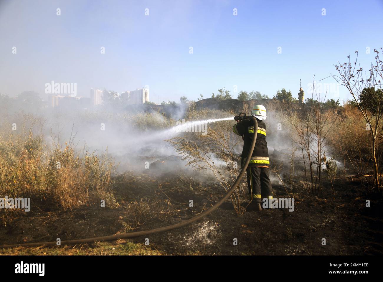 ODESSA, UKRAINE - July 24 2024: Forest, steppe fire completely destroy ...