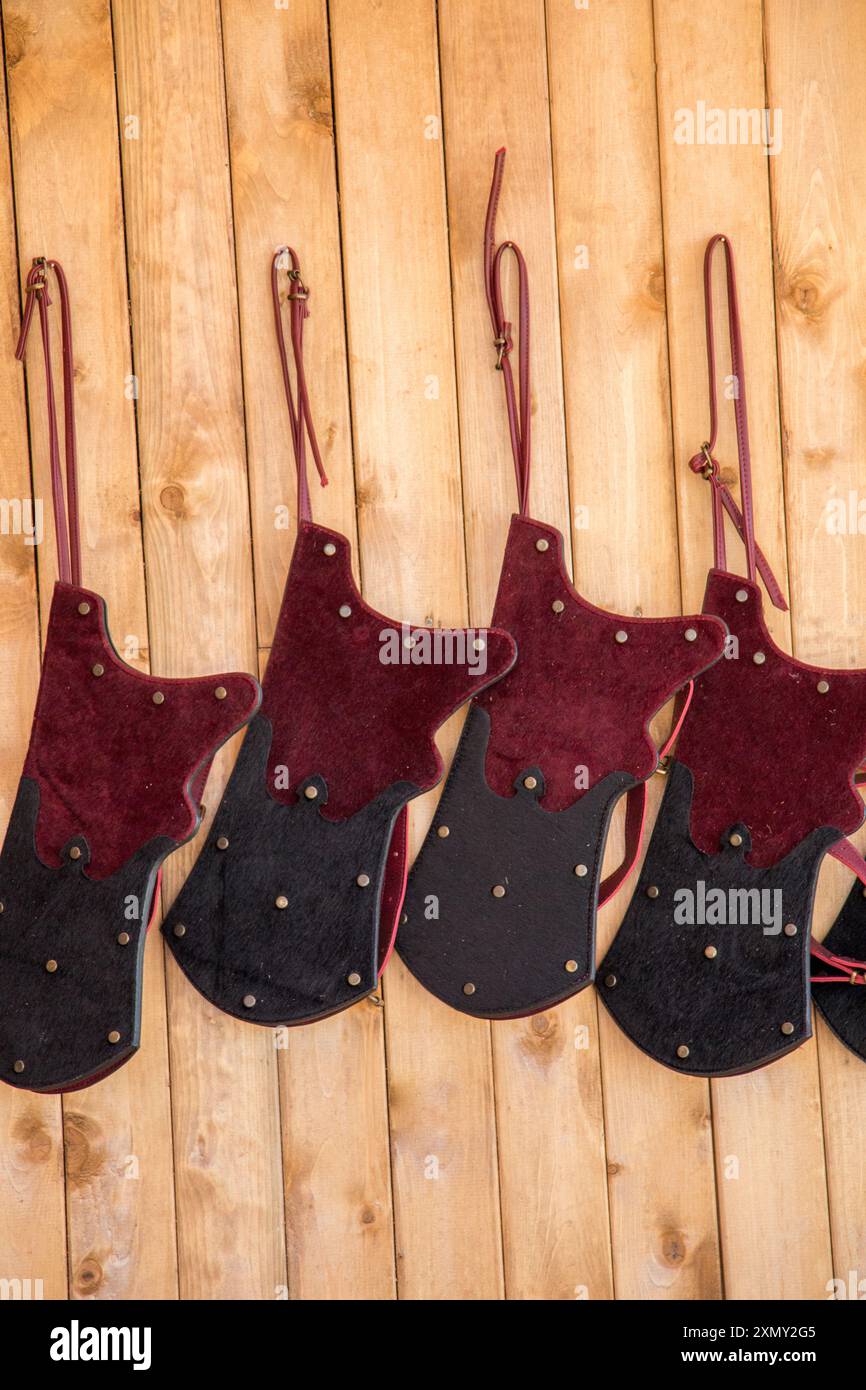 leather quiver for holding set of arrows inside Stock Photo - Alamy