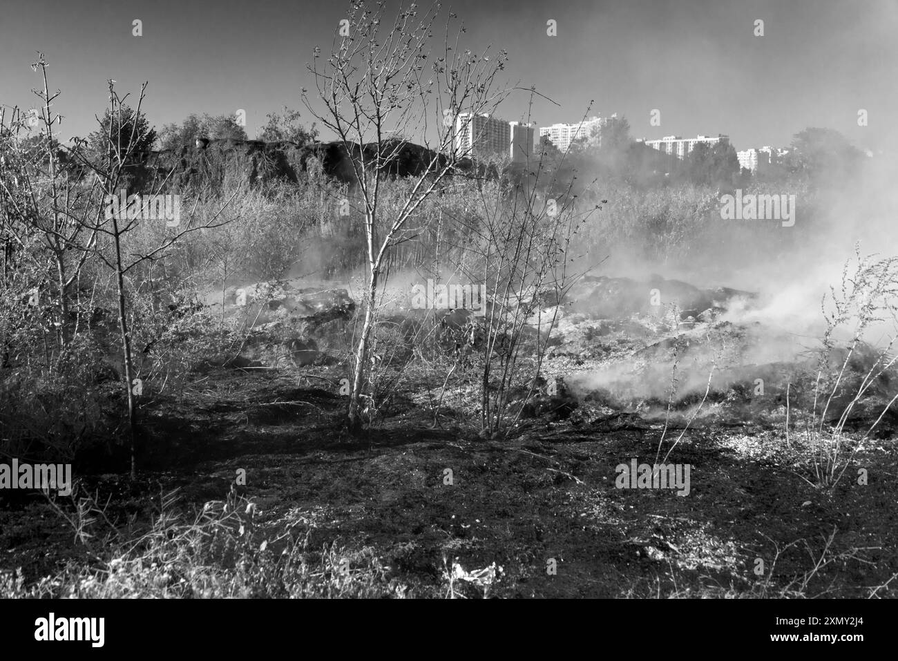 Forest and steppe fires dry completely destroy the fields and steppes ...