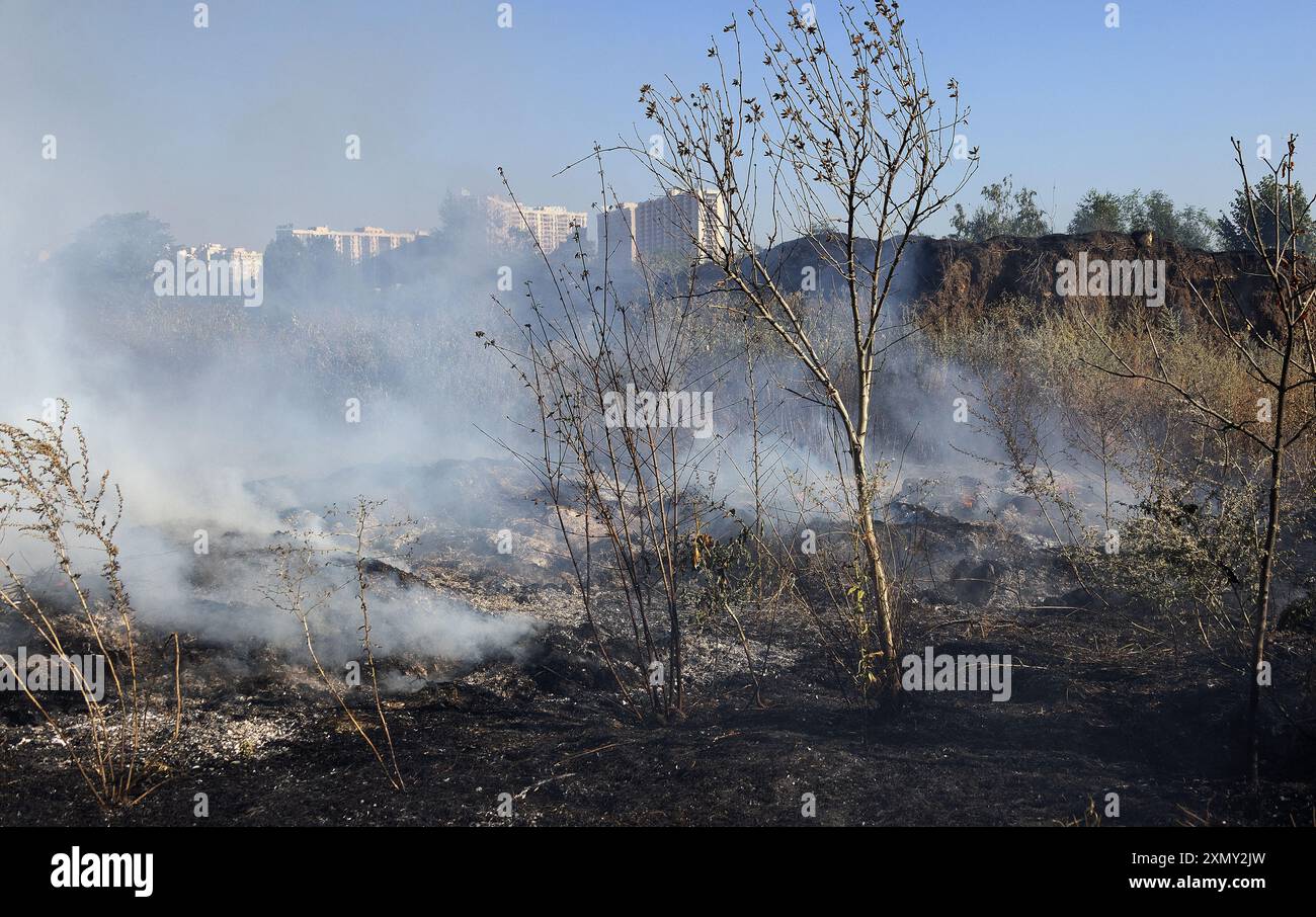 Forest and steppe fires dry completely destroy the fields and steppes ...