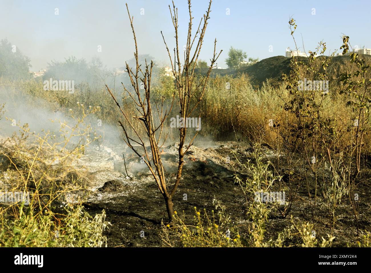 Forest and steppe fires dry completely destroy the fields and steppes ...