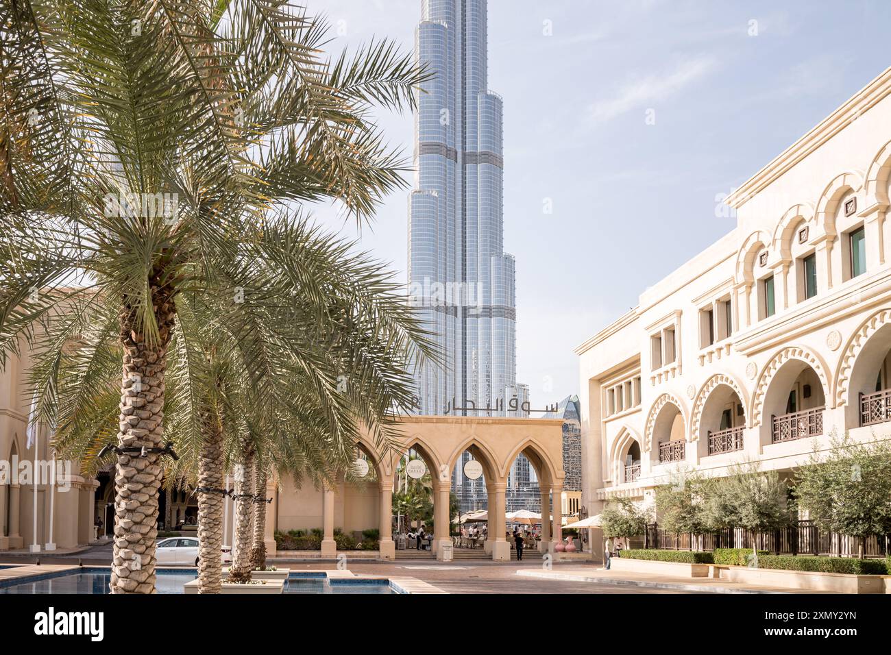 Elegance of Dubai: Burj Khalifa and Palm Trees Stock Photo - Alamy