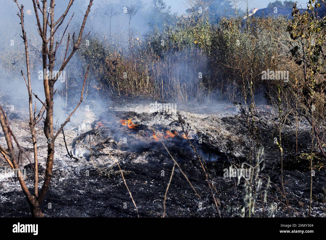 Forest and steppe fires dry completely destroy the fields and steppes ...