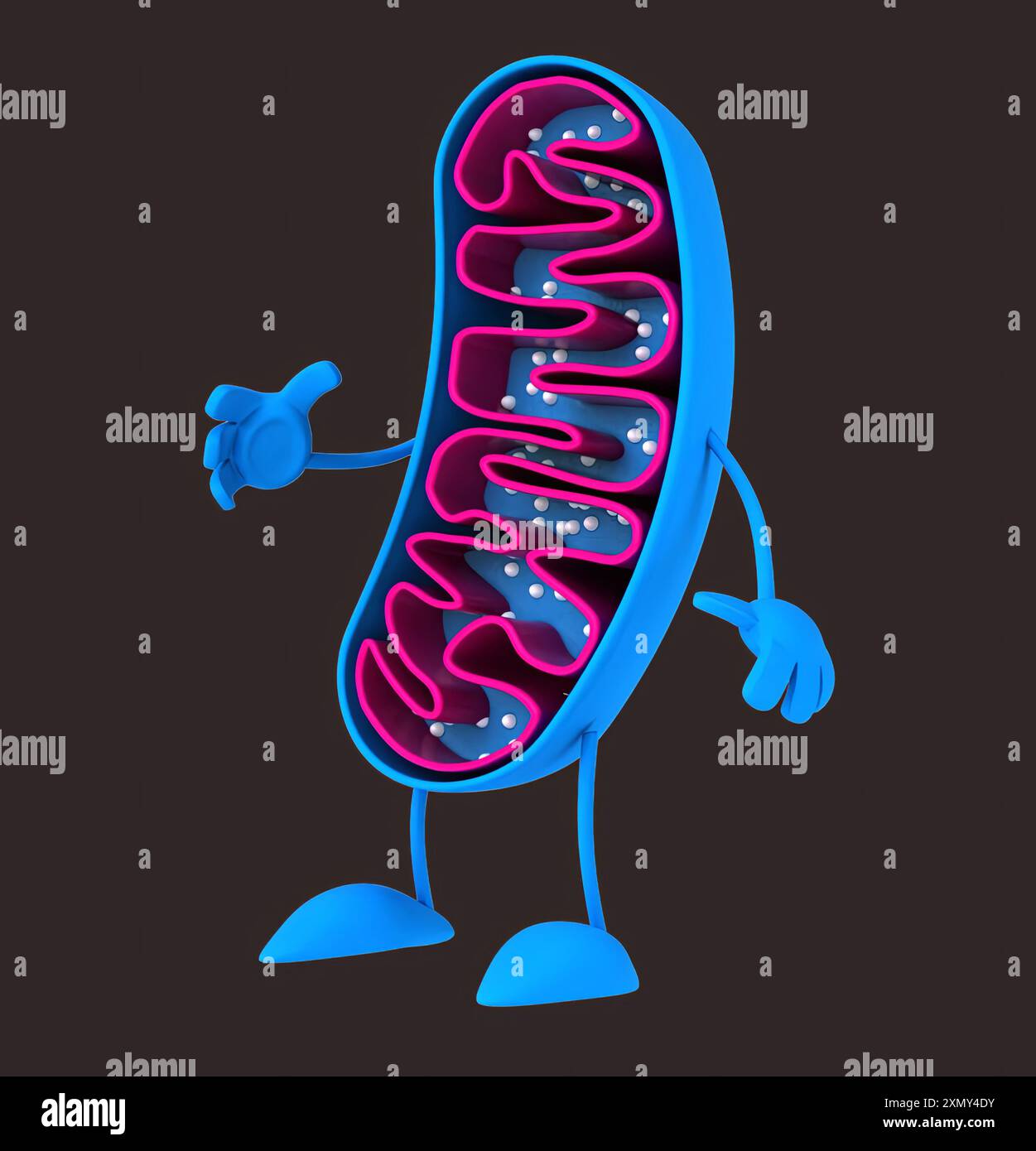 Fun 3D cartoon mitochondria Stock Photo - Alamy