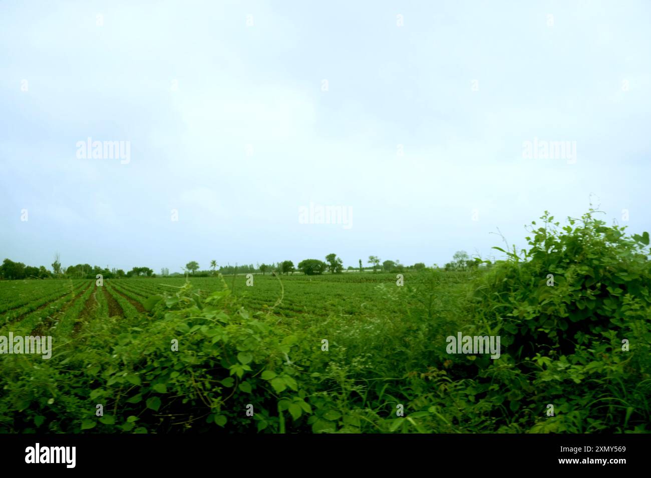 Discover the tranquility of rural life with this captivating image ...