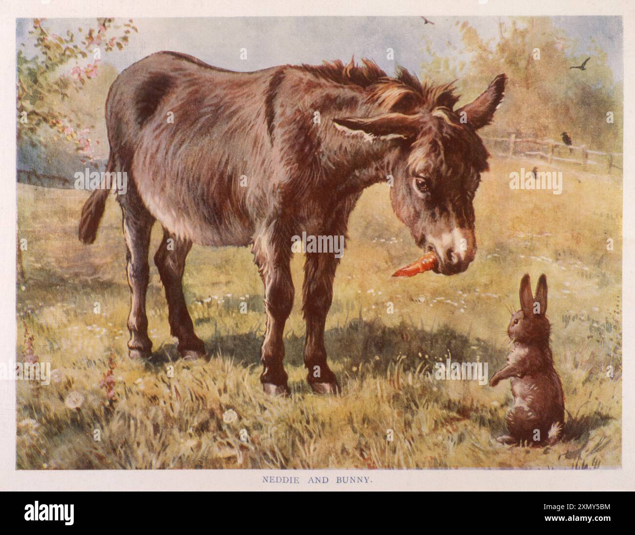 Donkey carrot hi-res stock photography and images - Alamy