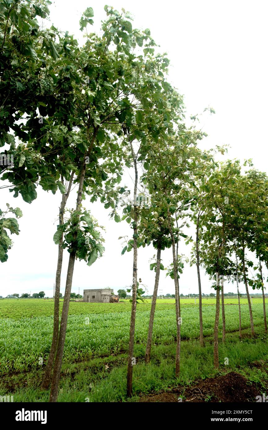 Continuous cycle hi-res stock photography and images - Alamy