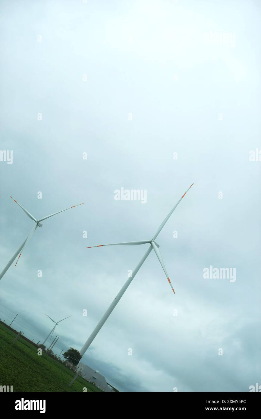 See the tranquility of renewable energy through the presence of tall ...