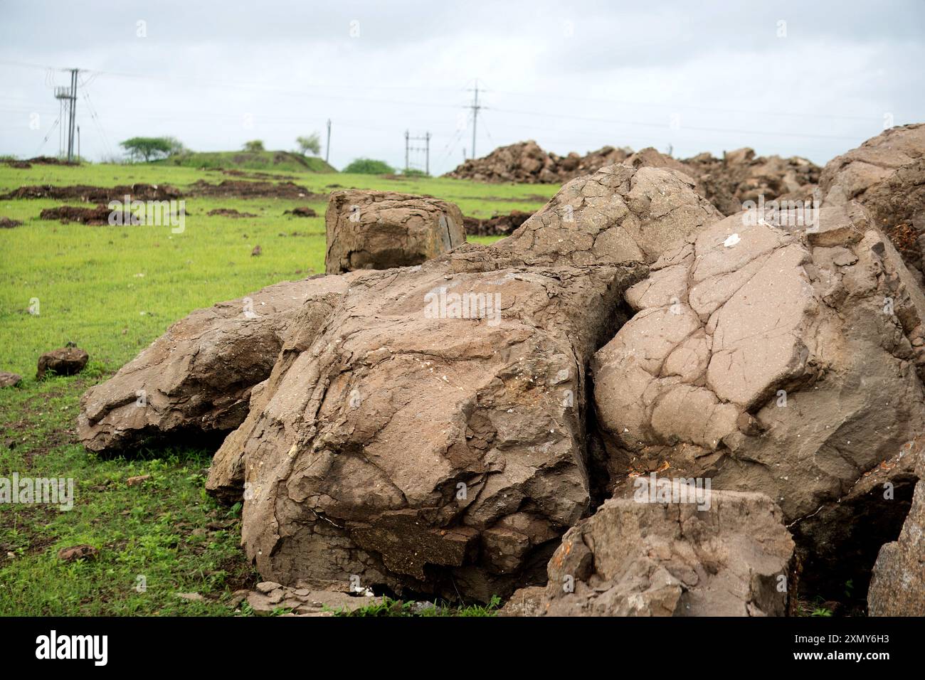 The essence of untouched nature is captured in this stock image, where ...