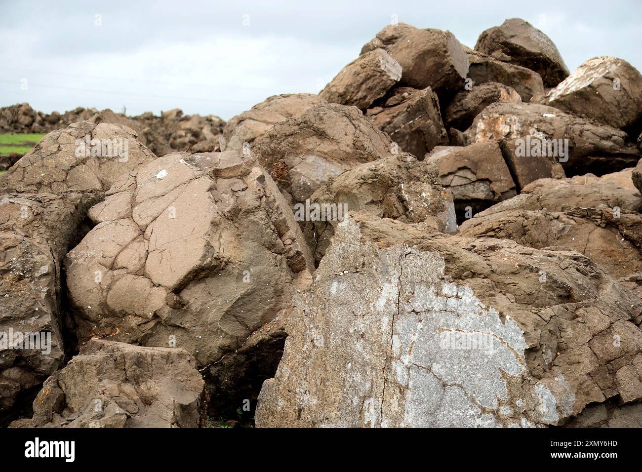 This stock image showcases the raw beauty of nature, with a collection ...