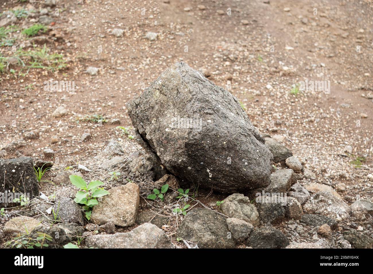 The stock photo depicts the unrefined beauty of nature, featuring a ...