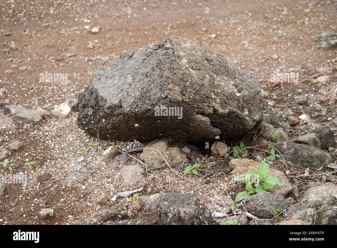 The stock image presents the unadulterated splendor of nature ...