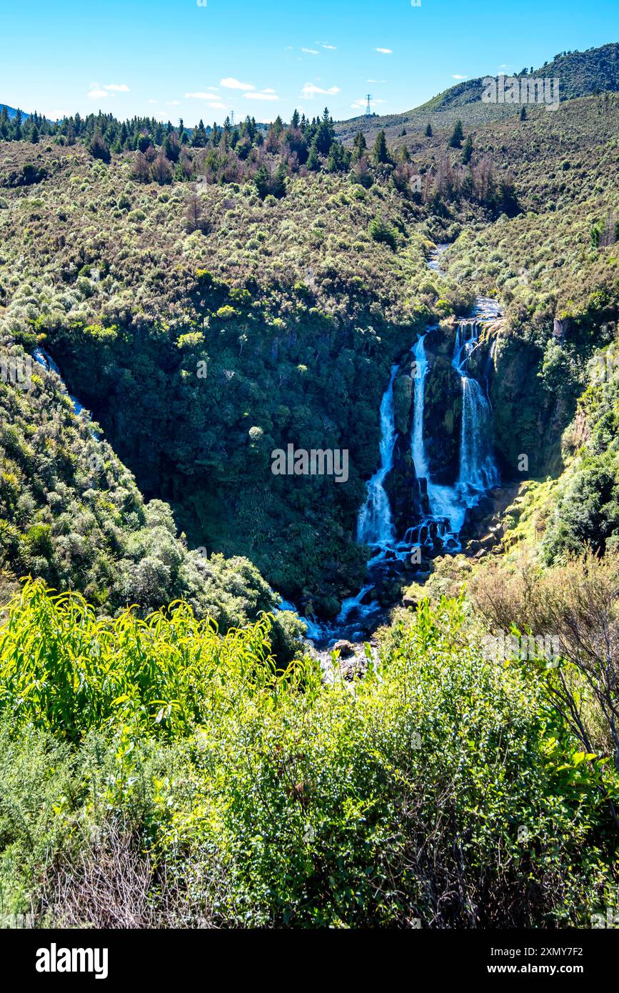 Massive fresh water flows in new zealand hi-res stock photography and ...