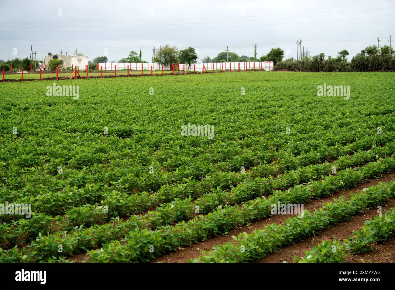 Immerse yourself in the agricultural world with this captivating ...