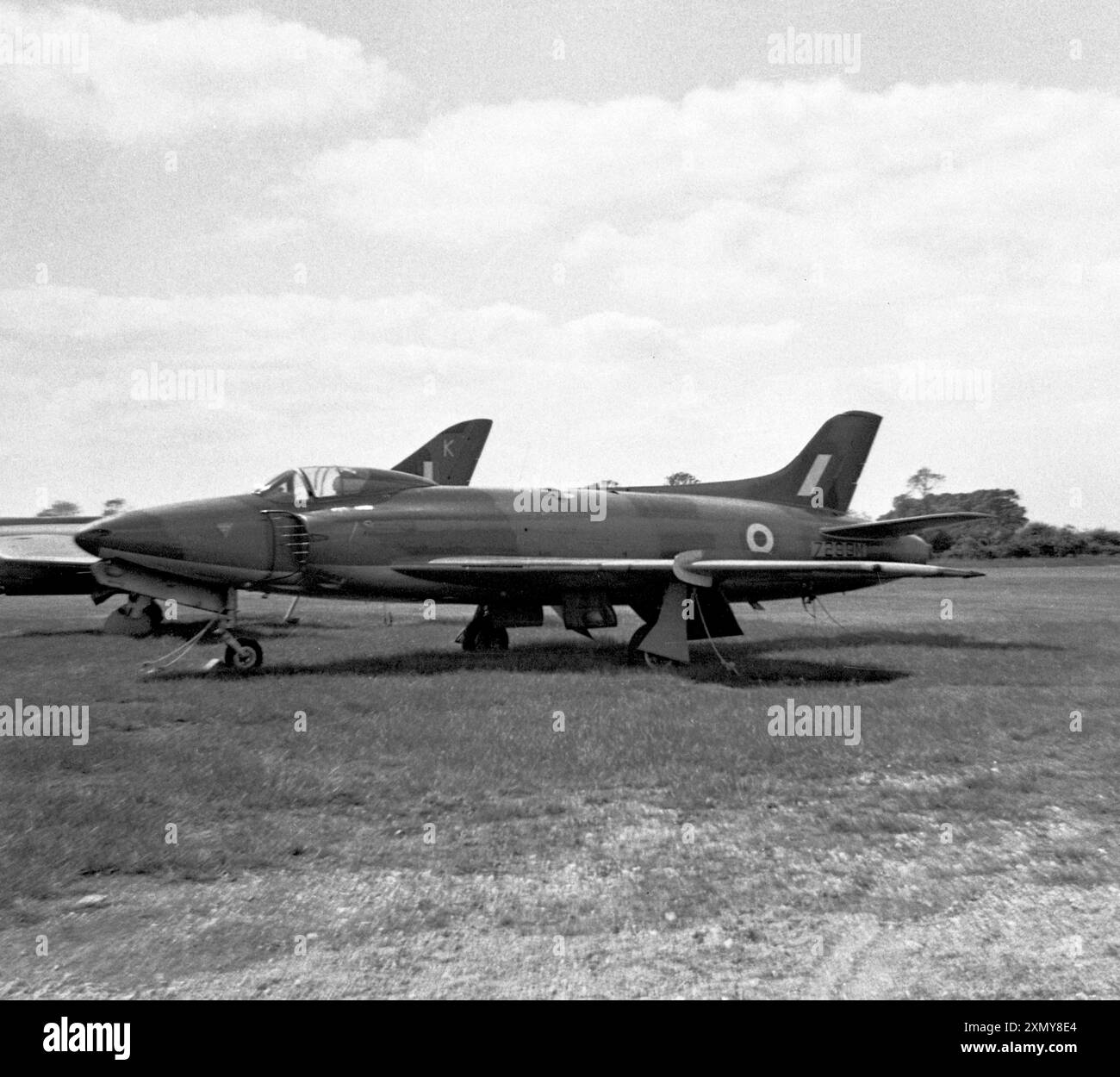 Swift running Black and White Stock Photos & Images - Alamy