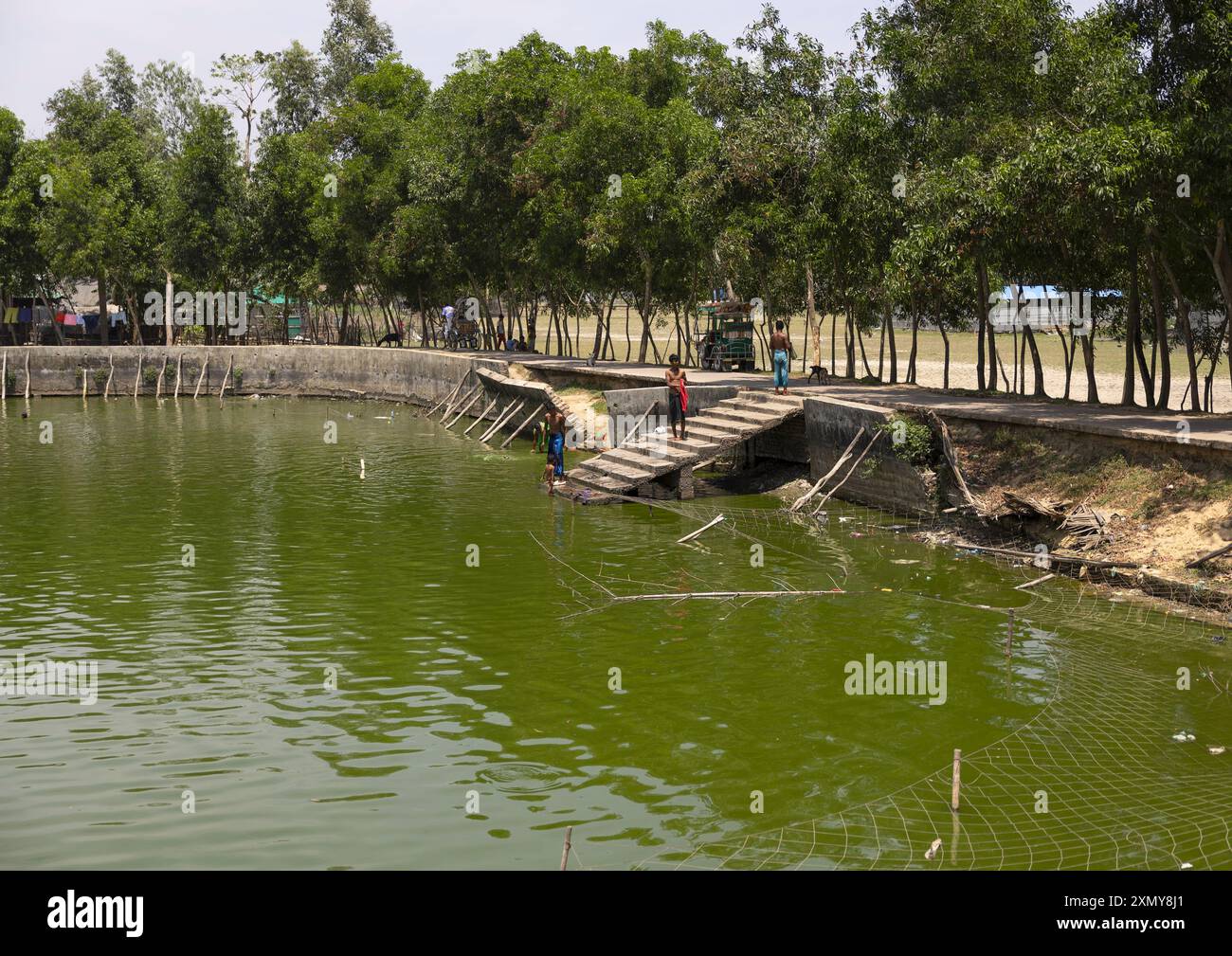 Bangladeshi people washing clothes in a pond, Chittagong Division ...