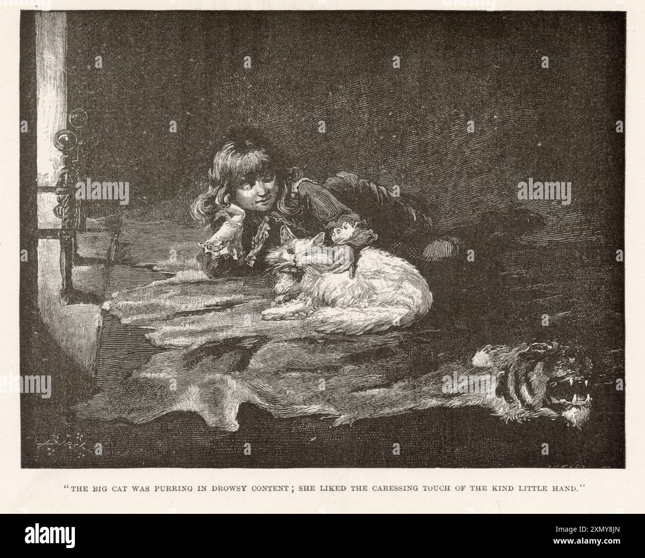 LITTLE LORD FAUNTLEROY Stock Photo - Alamy