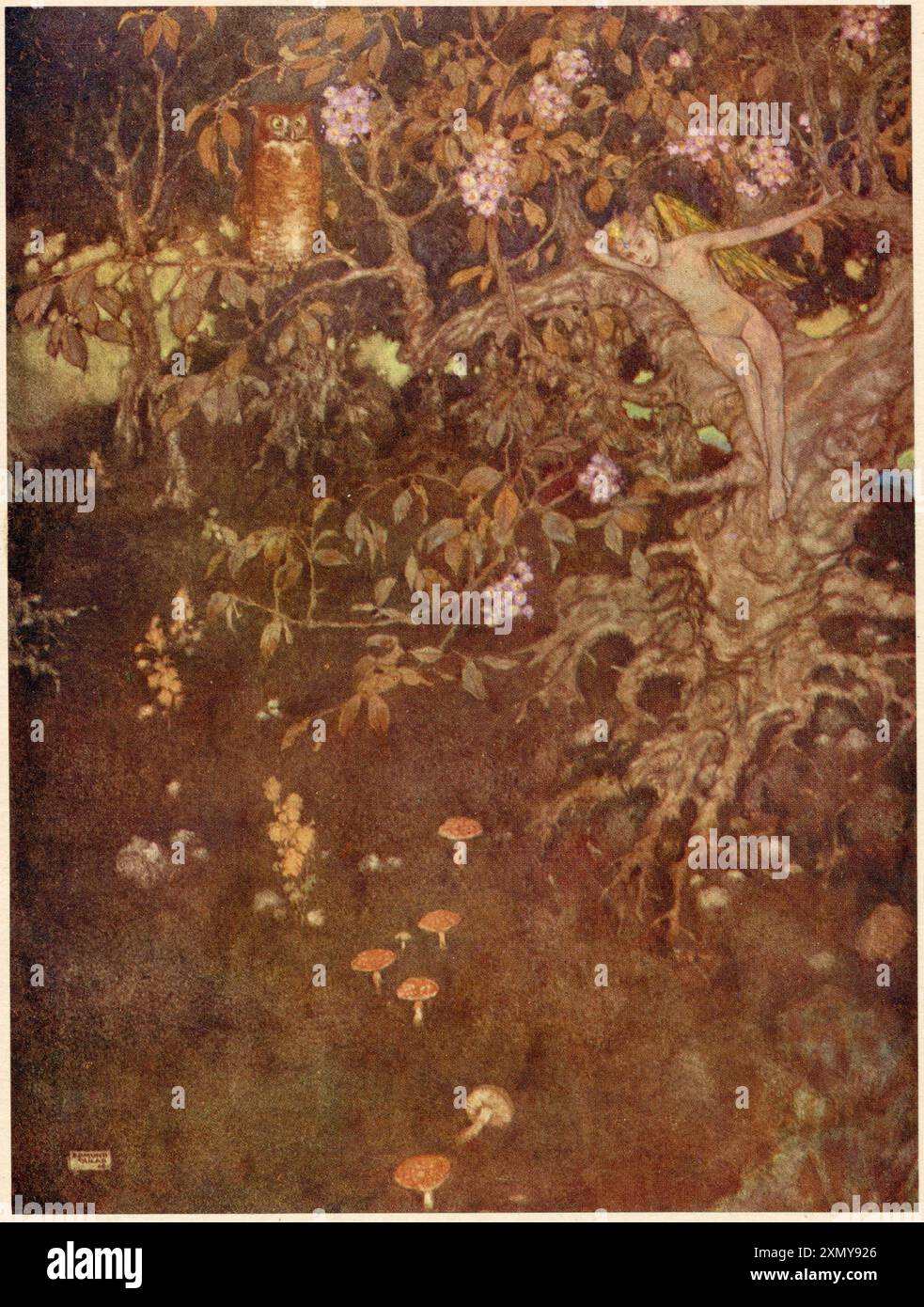 Ariel the tempest hi-res stock photography and images - Alamy