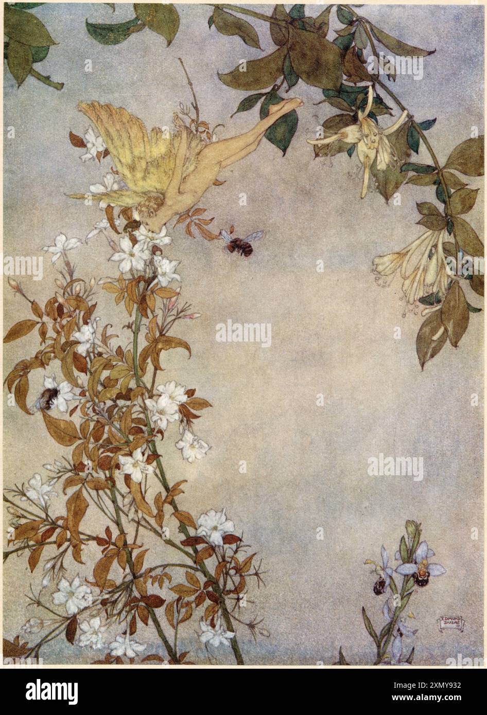 Tempest ariel hi-res stock photography and images - Alamy