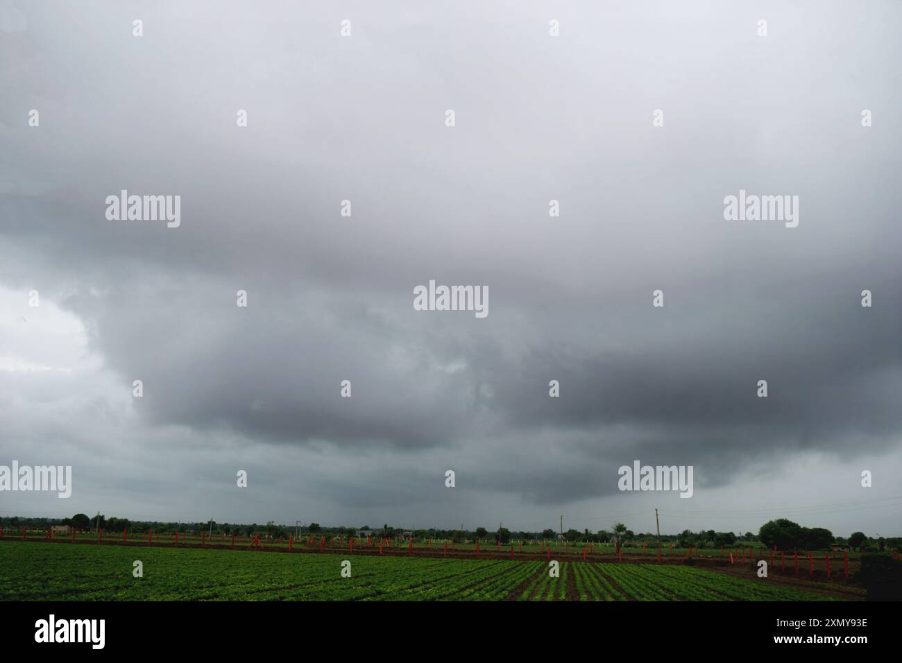 Extensive agricultural land reaches out towards the horizon, carefully ...