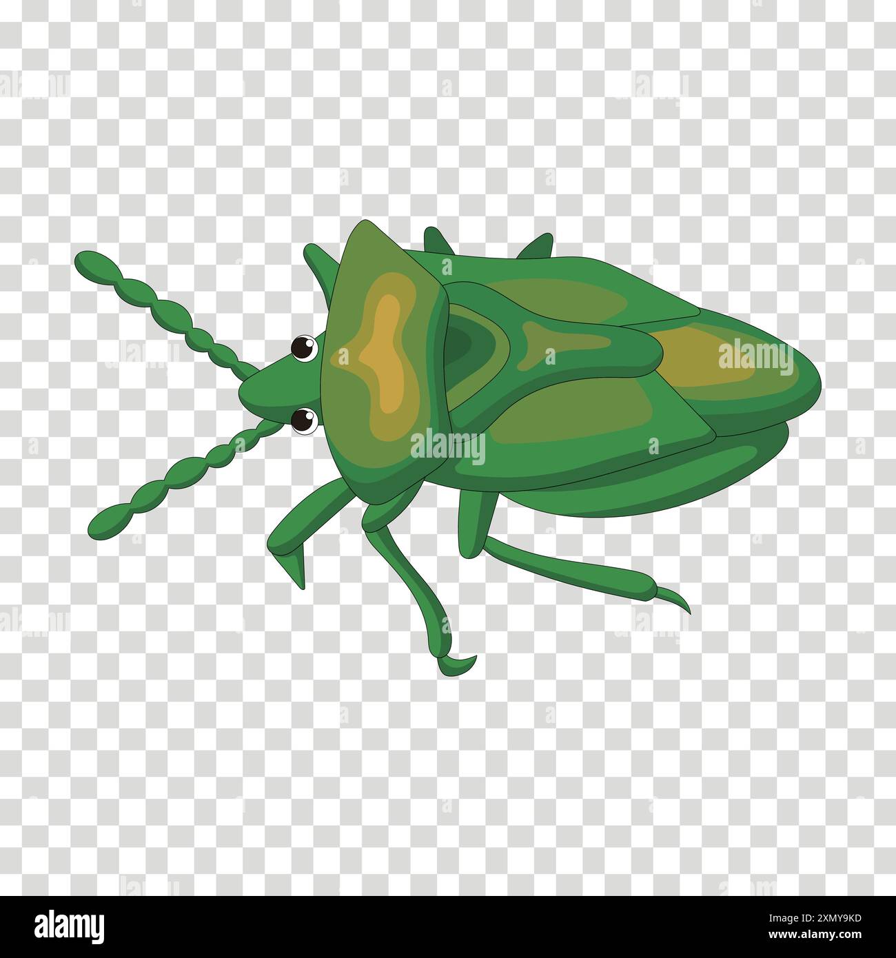Hard shell insect Stock Vector Images - Alamy