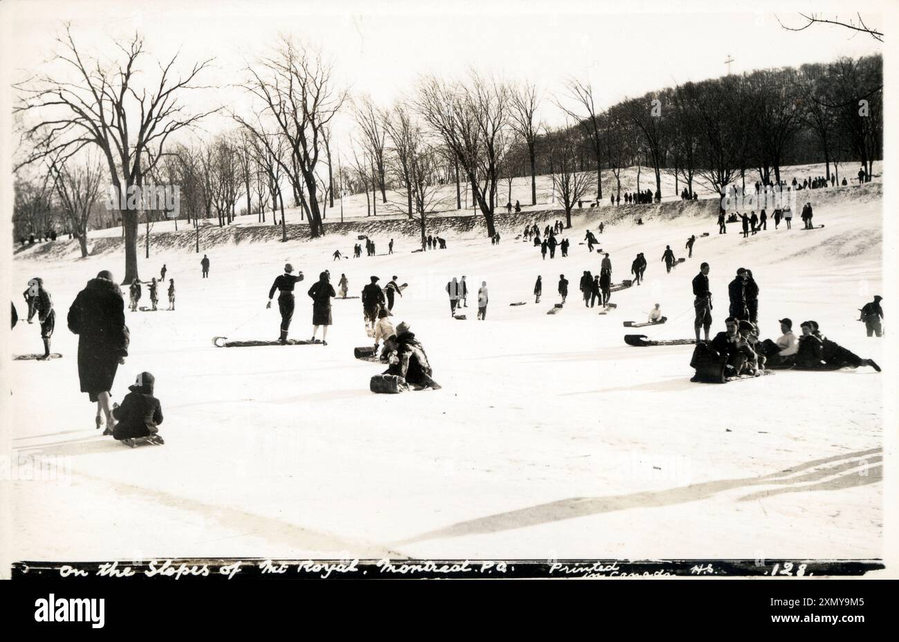 Montreal, Quebec, Canada - Sledging on Mt. Royal Stock Photo - Alamy