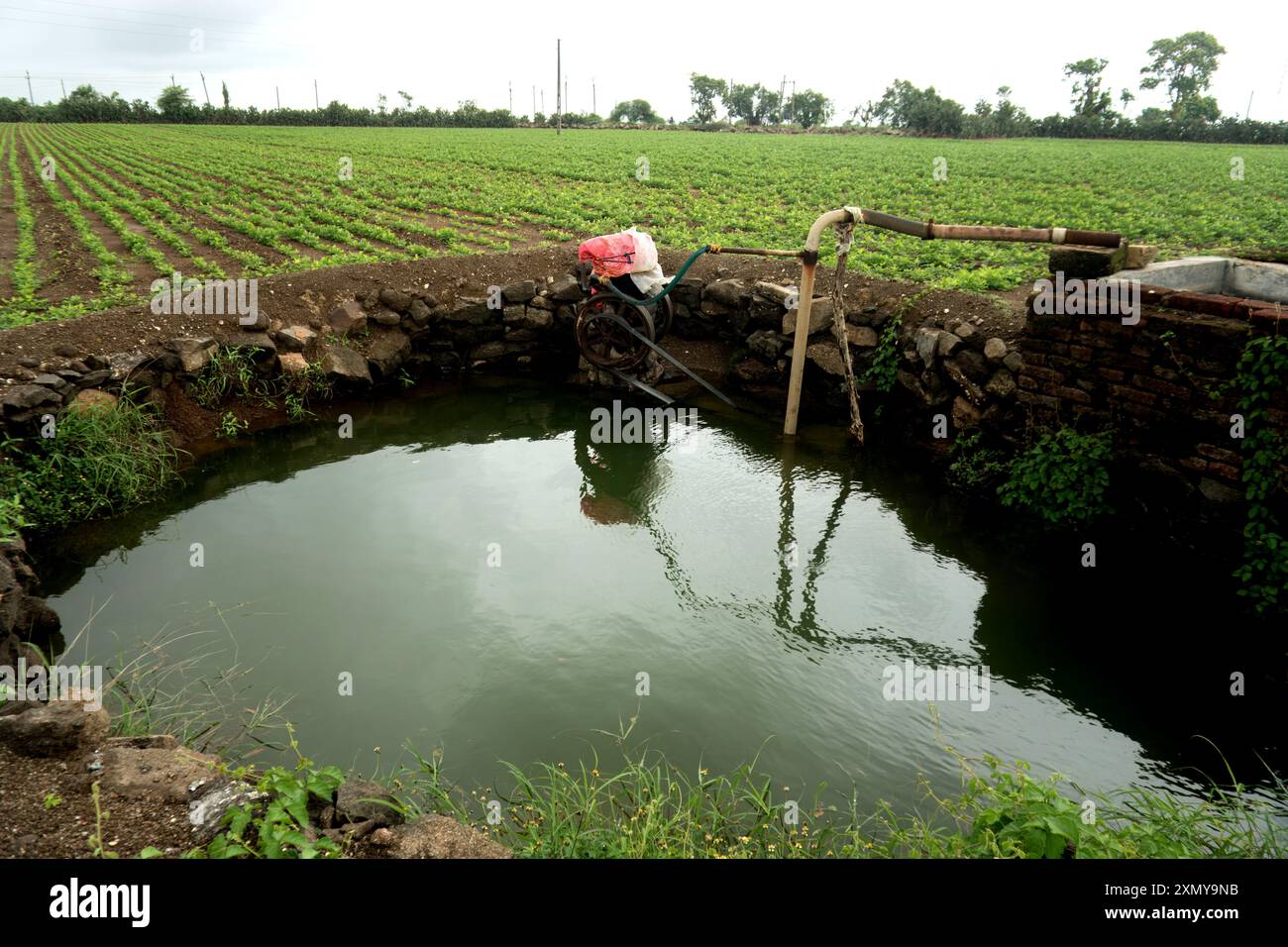 Surrounded by thriving groundnut fields, a classic water well serves as ...