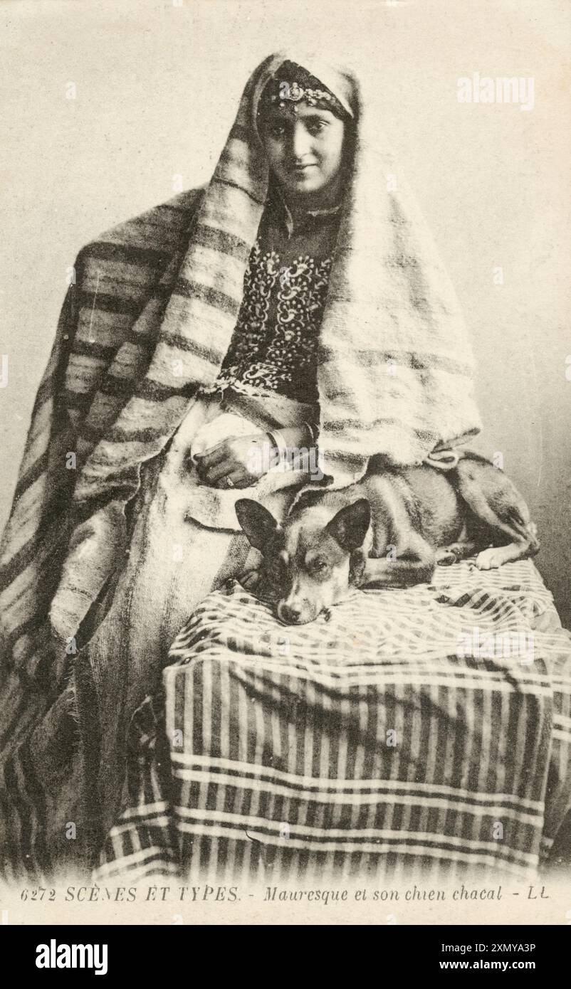 Jackal type hi-res stock photography and images - Alamy