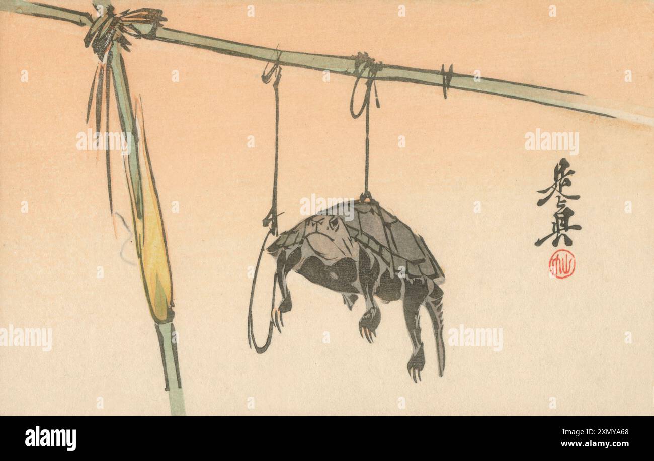 Hanging Turtle by Shibata Zeshin - Japanese woodblock print Stock Photo ...