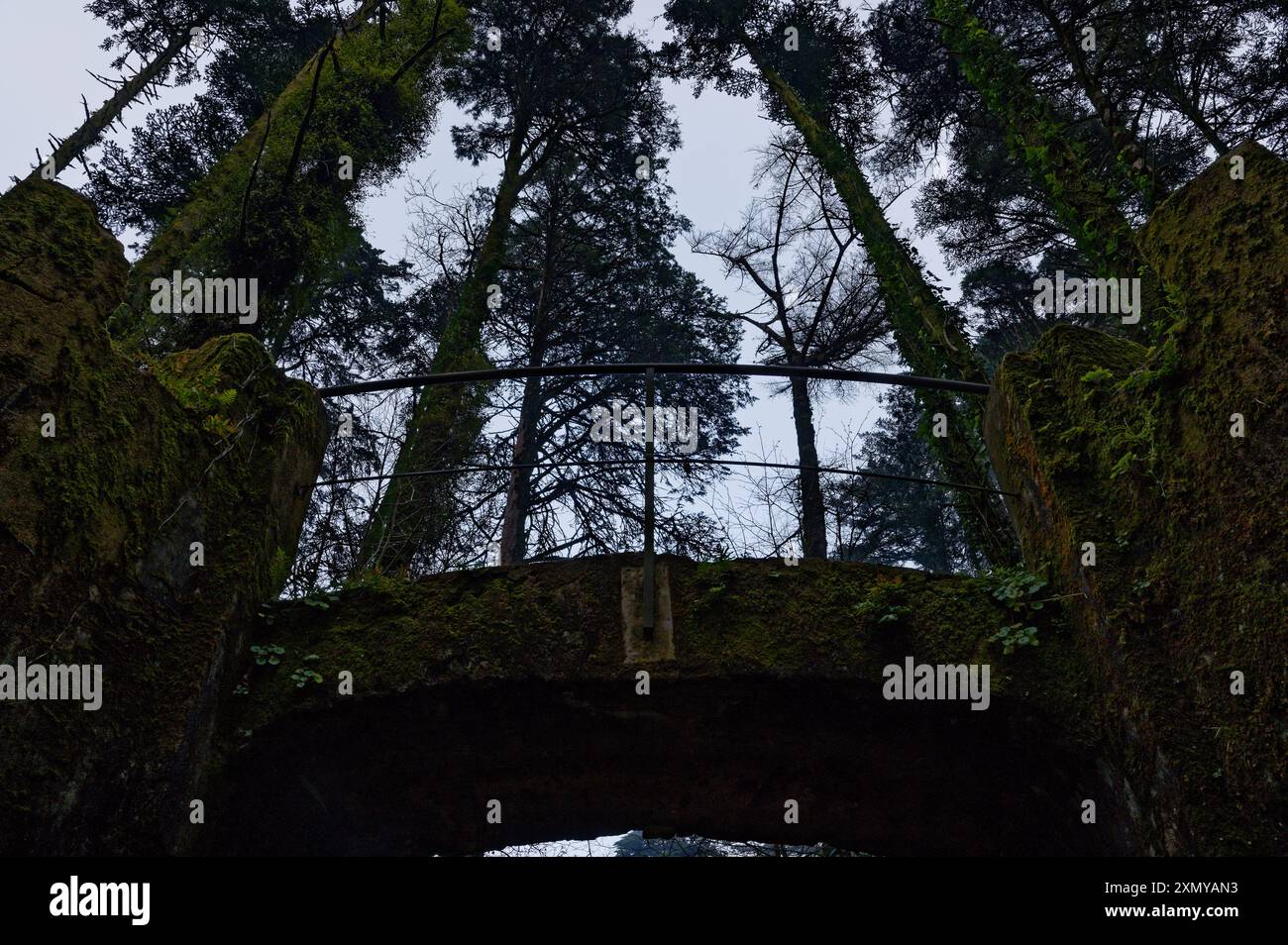 Moss covered bridge hi-res stock photography and images - Alamy