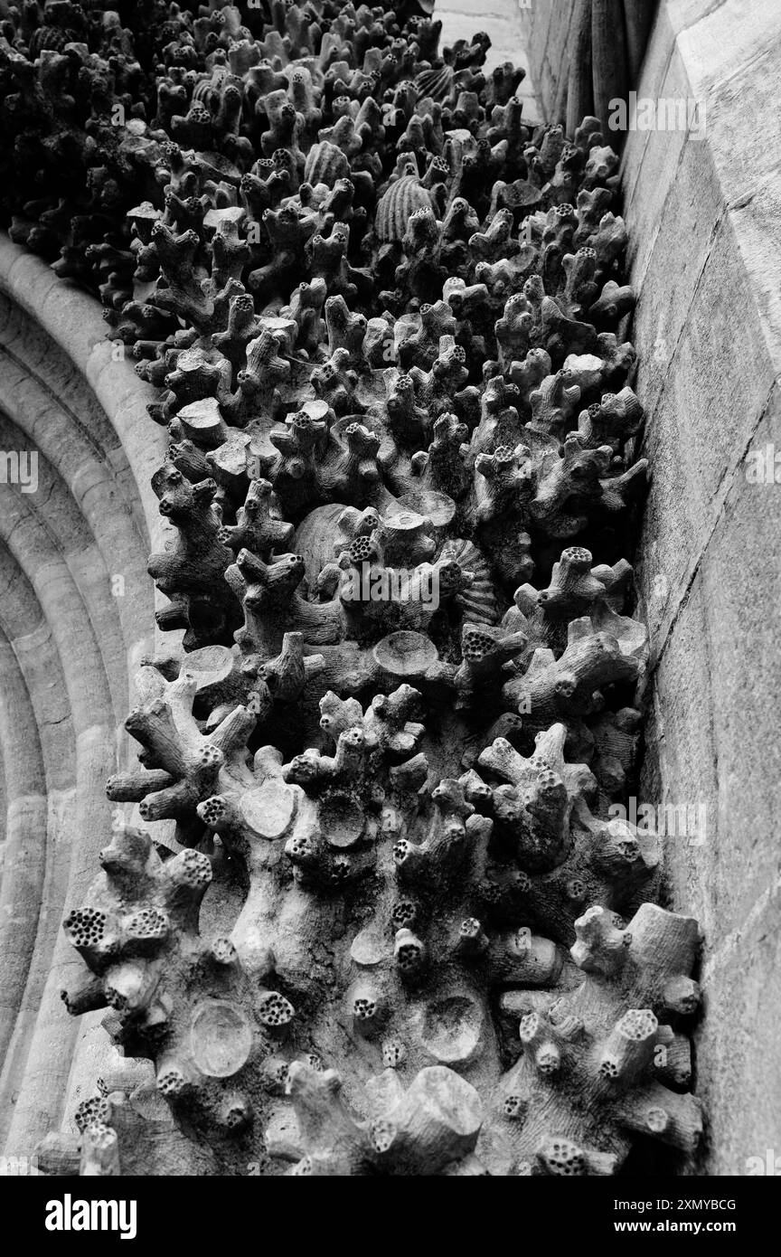 Intricate stone carvings resembling coral adorn a wall at Pena Palace ...