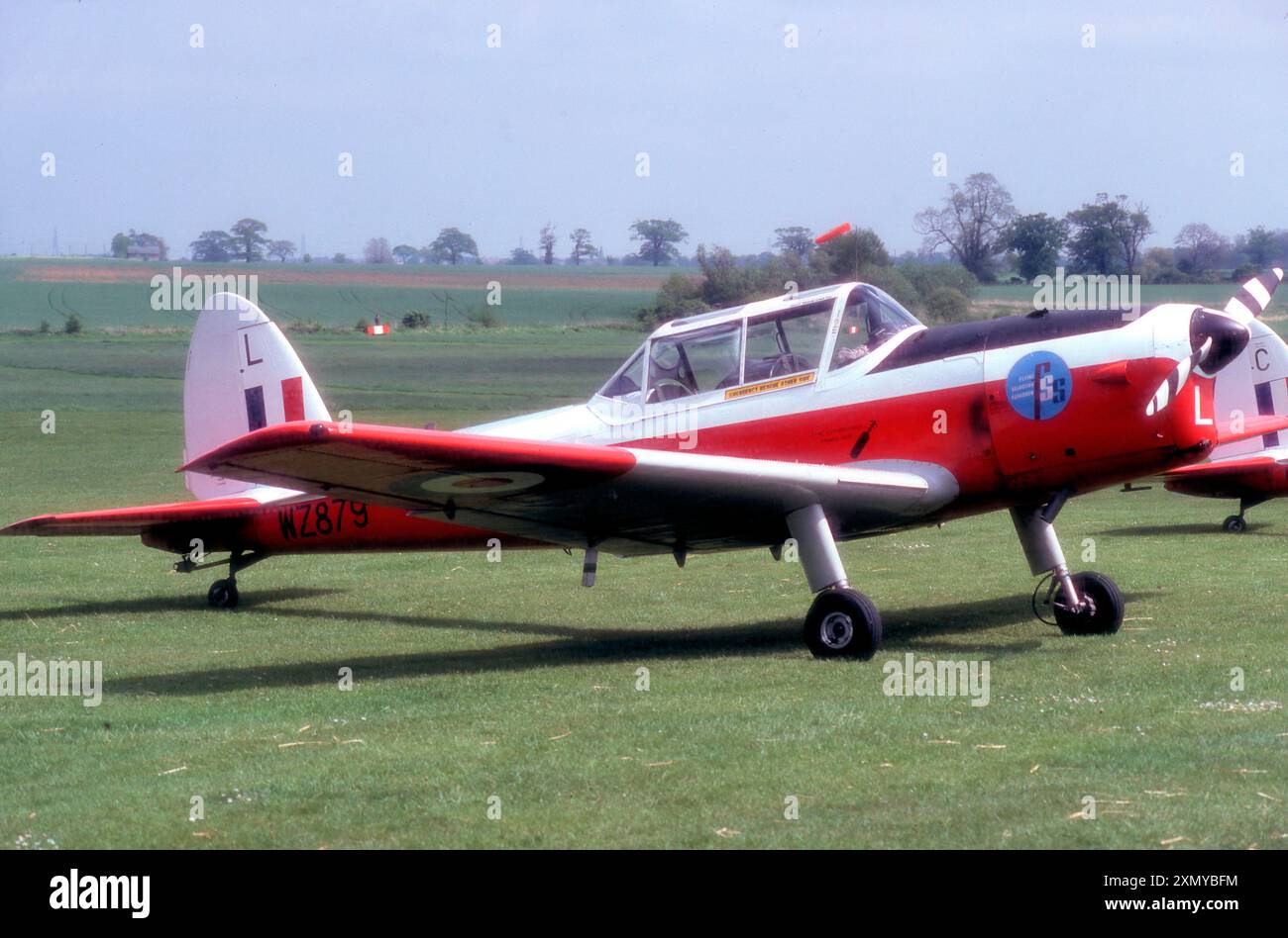 Chipmunk and model hi-res stock photography and images - Alamy