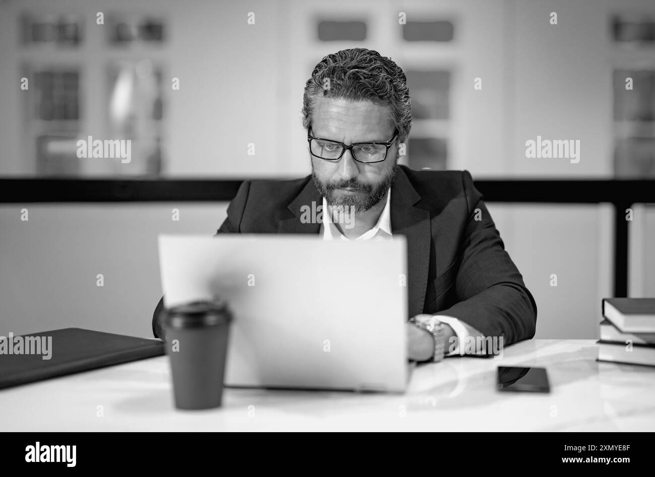 Handsome 40s business man working with laptop in office. Gray hair mature business man director ...