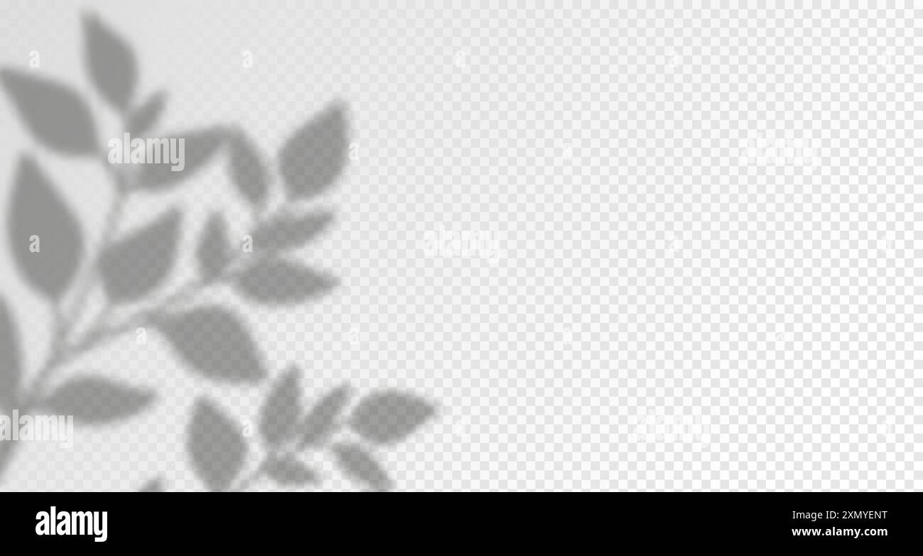 Soft overlay of natural light. Abstract background for product ...