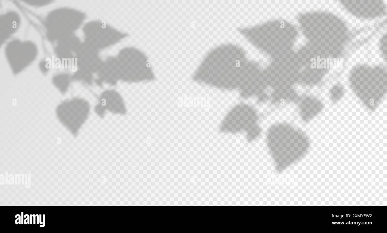 Soft overlay of natural light. Abstract background for product ...