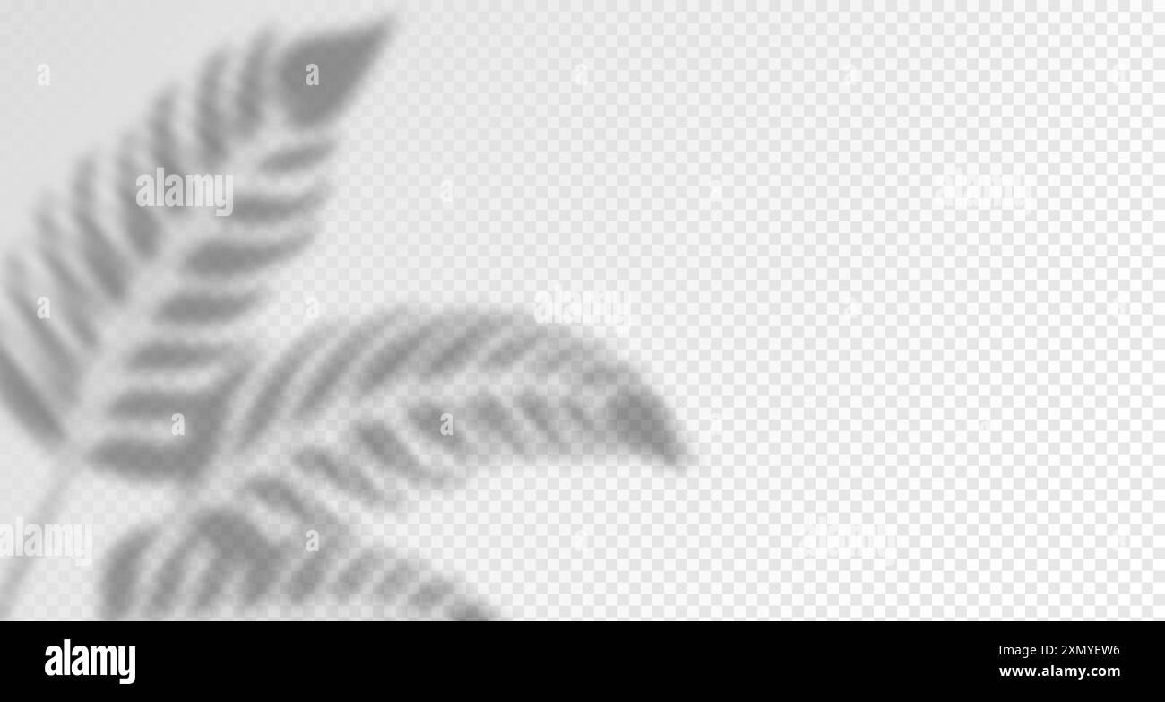 Soft overlay of natural light. Abstract background for product ...